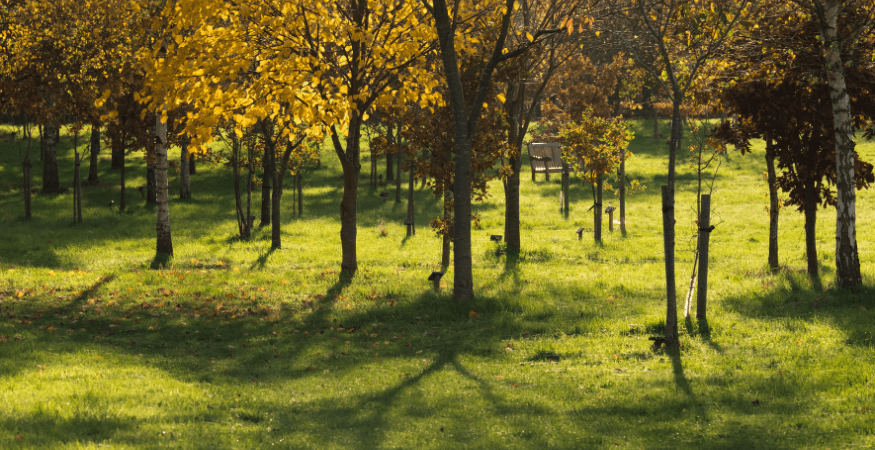 Digital Cemetery Mapping Case Study: Tithe Green